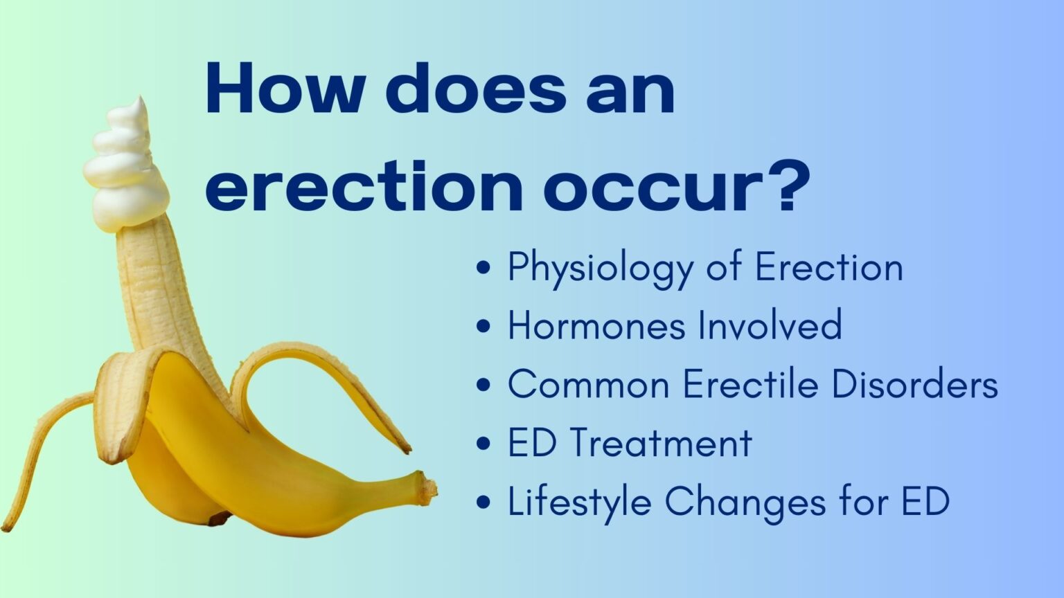 Male Erections Physiology And Science Behind Solve Sleep Overhaul